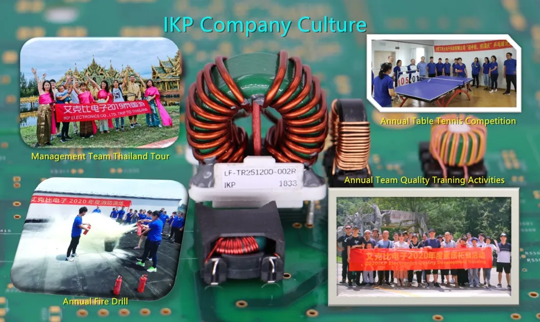 Top-Quality Common Mode Power Inductors (PI-TC14005)