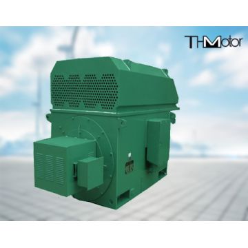 Quality 11000v Variable Speed Three Phase Asynchronous Motor IP55 for sale