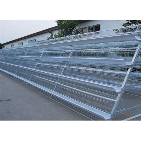 Quality ISO9001 Laminated Layer Chicken Cage For Hen for sale