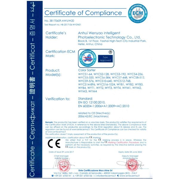 Quality 320 Channels 2-6T/H Throughput CCD Camera Optical Wheat Sorting Machine for sale