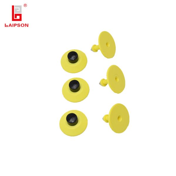 Quality Small Tamper Proof Hog Ear Tags , Swine Ear Tags Plastic Tpu Material for sale
