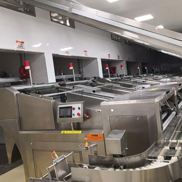 Quality Fully Automatic Stick Noodles Production Line Plant ISO9001 CE for sale