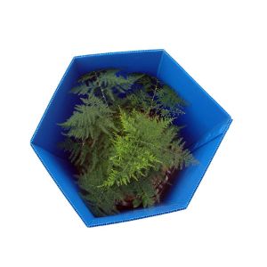 Quality Polygonal Corrugated Plastic Tree Protectors Eco Friendly Weather Proof for sale