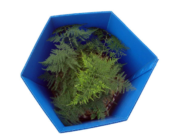 Quality Polygonal Corrugated Plastic Tree Protectors Eco Friendly Weather Proof for sale