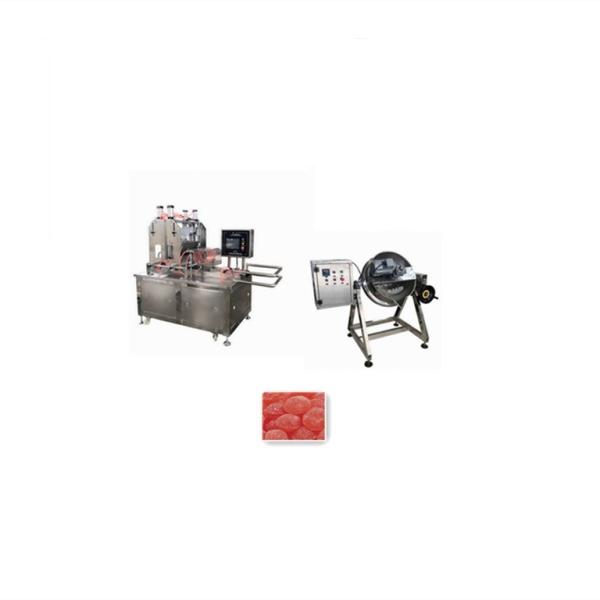 Quality Semi Automatic Blueberry Soft Jelly Candy Gummy Candy Making Machine with for sale