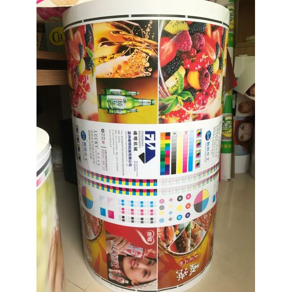 Quality 240m/Min Flexo Paper Cup Printer with Multi-Color Servo Drive and Ceramic Anilox for sale