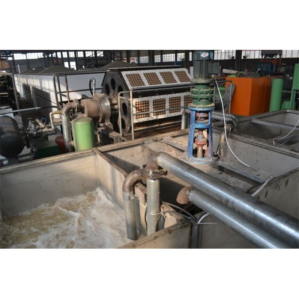Quality Rotary Egg Tray Machine Waste Paper Recycling Machine for sale