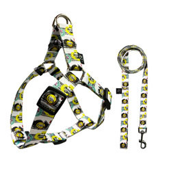 Quality No Pull Dog Harness Set Adjustable Designer Dog Harness Leash Set for sale