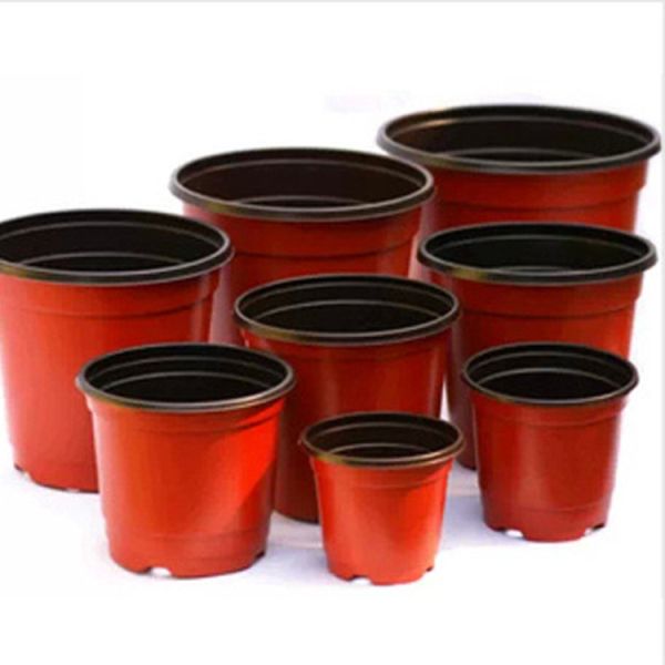 Quality Degradable Polymers Blister Small Plastic Flower Pots For Plant for sale