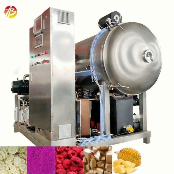 Quality High Productivity 200kg per batch Honey Freeze Dryer Machine with Easy Operation for sale