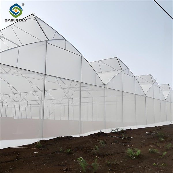Quality Indoor Multi Span Plastic Film Gothic Arch Greenhouse With PC Sheet for sale