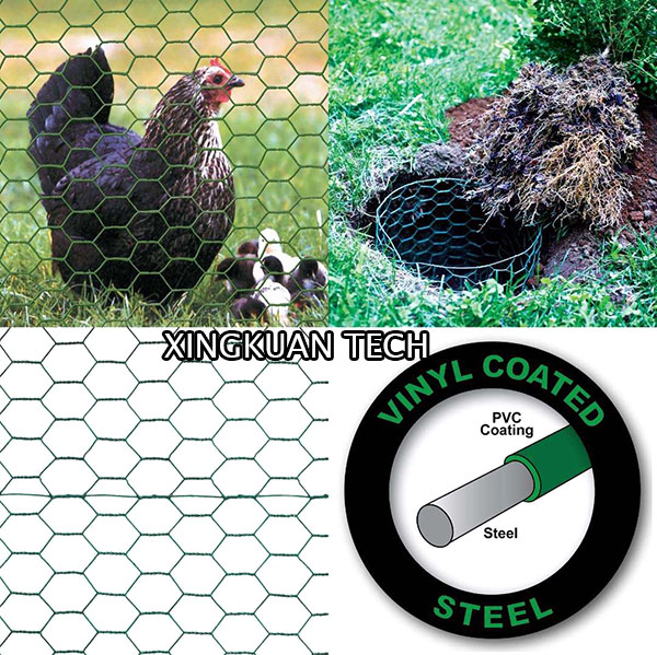 reverse twist PVC Poultry wire netting , Poultry Mesh Netting Hexagonal ...