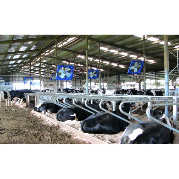 Quality 1140*1140*300mm Livestock Ventilation Fans For Circulation for sale