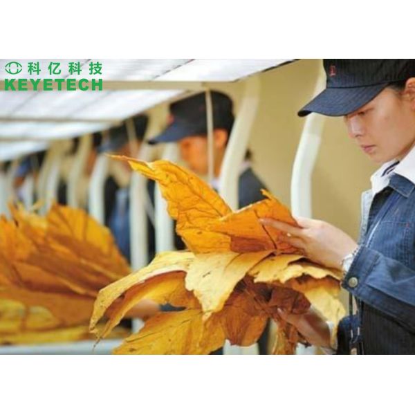 Quality KEYE PET Bottle Preform Automatic Vision Sorting Machine for Quality Assurance for sale