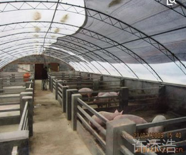 Quality Hot-dip Galvanized Steel Poultry Film Tunnel Greenhouse Waterproof Sheep for sale