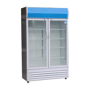 Quality 6.2A Glass Door Commercial Freezer R290 GAS Merchandising Refrigerator for sale