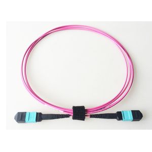 Quality MPO Fiber Optic Patch Cord for sale