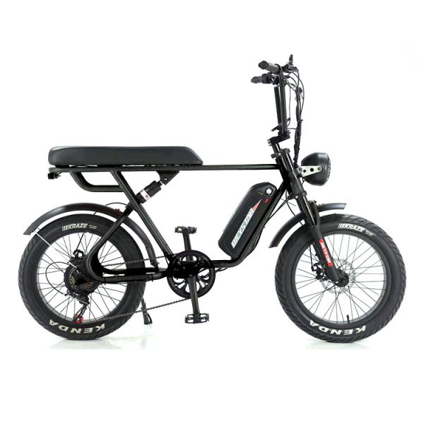 Quality Full Suspension Rear Hub Motor Electric Bike With 48v 1000w Power And REMOVABLE BATTERY for sale