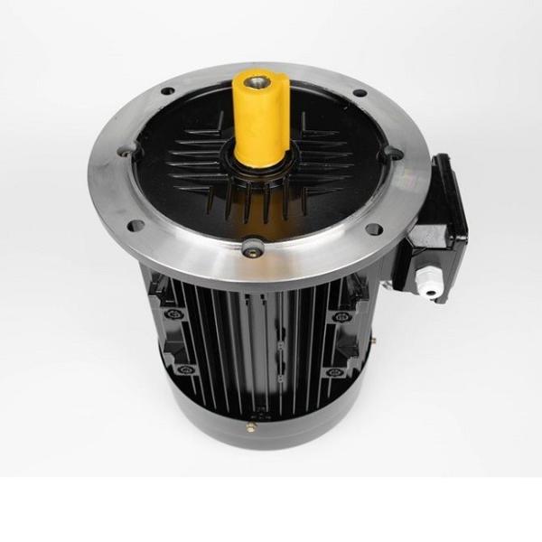 Quality Internal Permanent Magnet Synchronous Motor , IPM Brushless Motor for sale