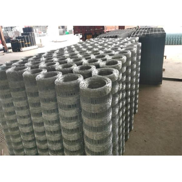 Quality Hot Dipped Galvanzied Field Wire Fence / Fixed Knot Deer Fencing for sale