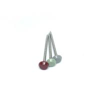 Quality 2.0MM Wire Diameter Plastic Head 316 Stainless Steel Nails for sale