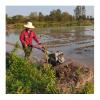 Quality 75 KG Newly-designed Compact Four-wheel Drive Full-gear Transmission Mini Tiller for sale