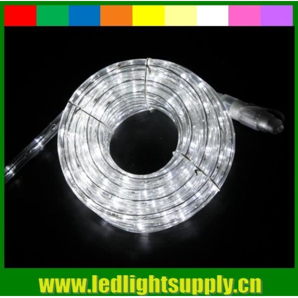 Quality 12/24v duralights 1/2'' 2 wire led outdoor christmas rope flex lights for sale