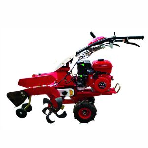 Quality Orchard mini power tiller cultivator with 170F gasoline engine and high safety for sale