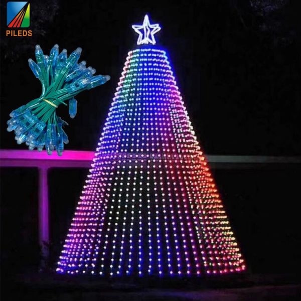 Quality 12MM WS2811 RGB Pixel String Lights Programmable Addressable For Christmas Tree for sale