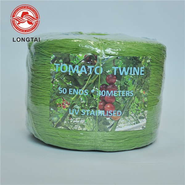 Quality Split Film 7500D Tomato Tying Twine 1200m/kg For Agriculture Packing Greenhouse Raffia for sale