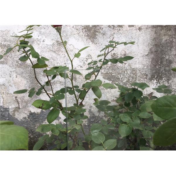 Quality Bulletproof Toughened Tempered Safety Glass Hollow Solid Acid Etched Glass for sale