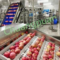 Quality Cloudy Apple Juice Processing Equipment With PLC Control for sale