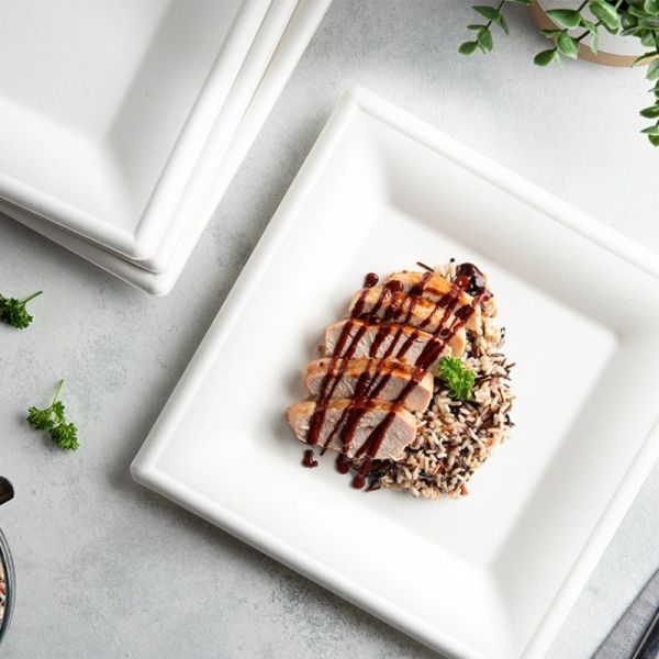 Quality 9in 10in Eco Friendly Compostable Sugarcane Paper Plates Dessert Square Cake for sale