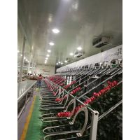 Quality Flower Sorting Automated Focusight Inspection Machine for sale