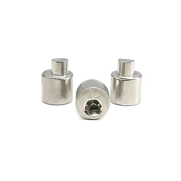 Quality Stainless Steel Eccentric Adjustment Screw for sale