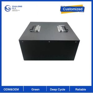 Quality OEM ODM LiFePO4 Lithium Battery Pack Customized Forklift 48V 200Ah for sale