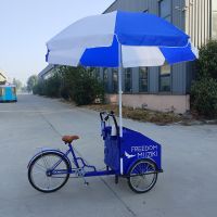 Quality 3 Wheel Street Mobile Fast Food Vending Bike Cart with Customized Cooking for sale