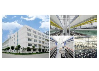 China Factory - Xian Warrens Business Technology Co., Ltd.