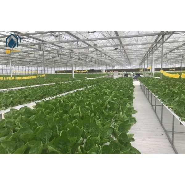 Quality Customized NFT Hydroponic System 100*50mm PVC Pipe Hydroponics System for sale