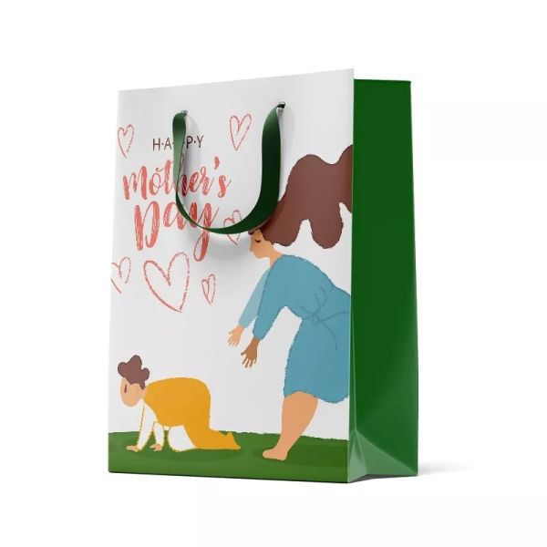 Quality Printed Luxury Paper Cookie Bags 350gsm 450gsm Shoe Paper Bag for sale