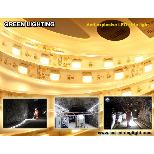 Quality Anti explsoive 1500 lum Flexible LED Strip Waterproof 60pcs led each meter for sale