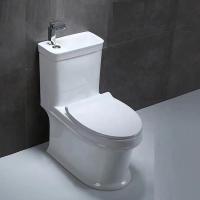 China Ceramic Bathroom Toilet Bowl , 700x385x745mm One Piece Toilet Sink Combo factory