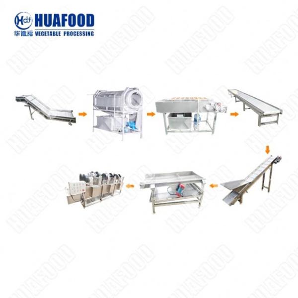Quality Automatic Vegetable And Fruit Washing Machine Apple Juicer Machine Line for sale