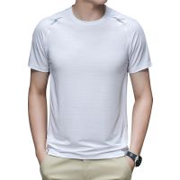 Quality Summer Wholesale Short Sleeve Ice Thin Breathable Sports T Shirt Men for sale