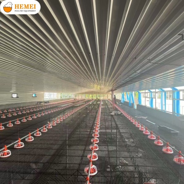 Quality CCS4 Floor Type Broiler Equipment for sale