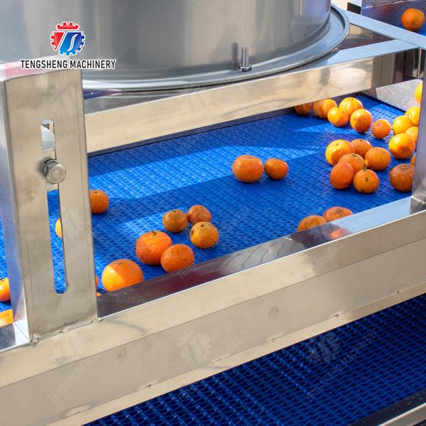Quality vegetable drying equipment Fruit and vegetable selection washing and drying for sale
