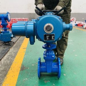 Quality DN200 Electric Gate Valve PN16 Cast Iron Valve Flange End Connection for sale