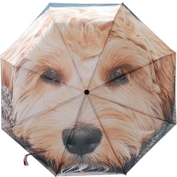 Quality DIY Custom Design Dragonfly Animal Pattern Three-folding Umbrella with Black for sale
