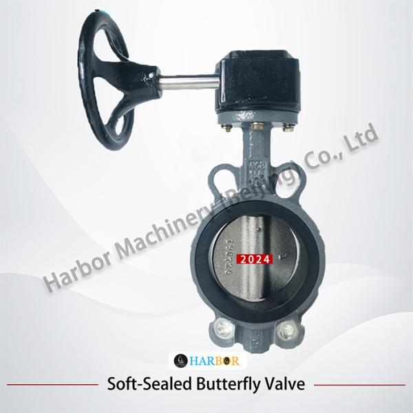Quality Water Medium DN40-DN700 Manual Turbine Cast Steel Soft-Seal Butterfly Valve for sale