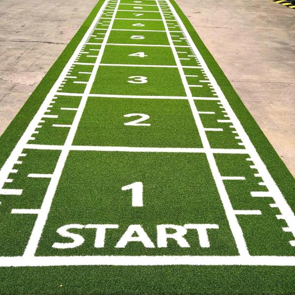 Quality High Density 63000 Stitches/m2 Customized Gym Grass for Sports Floor and Sled for sale